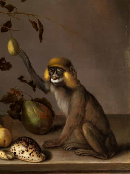 Balthasar van der Ast, 1593 Middelburg - 1657 Delft - Hampel Kunstauktionen